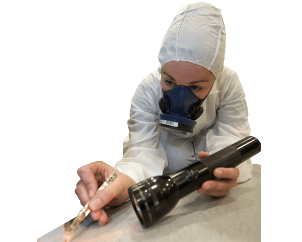 What is a P402 Qualification?